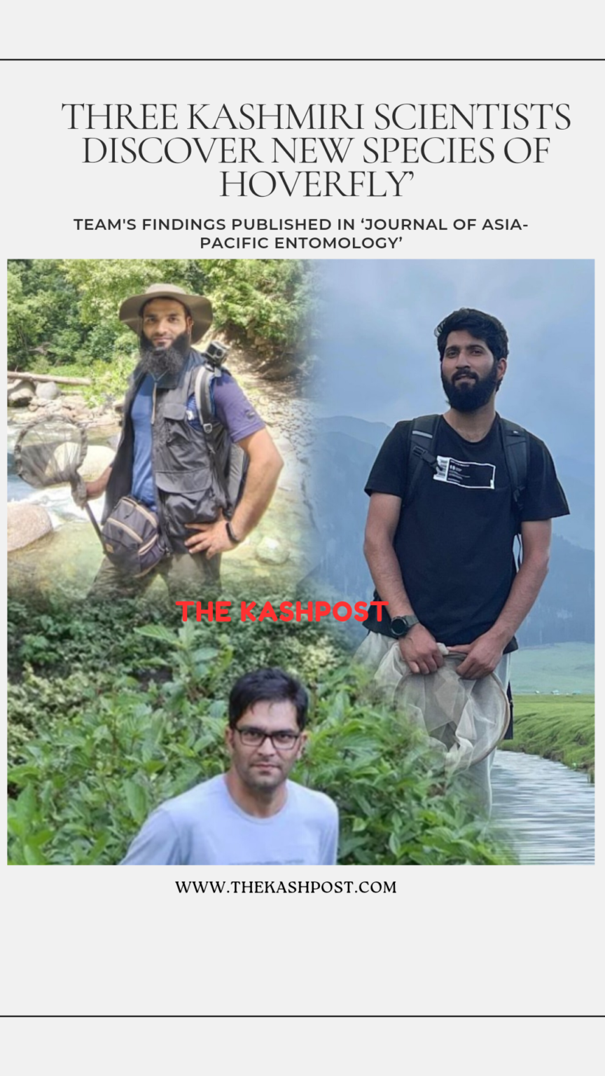 Three Kashmiri scientists discover new species of Hoverfly - The Kashpost